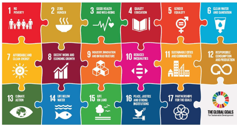 Sustainability and SDGs | HU Duurzaam Onderwijs